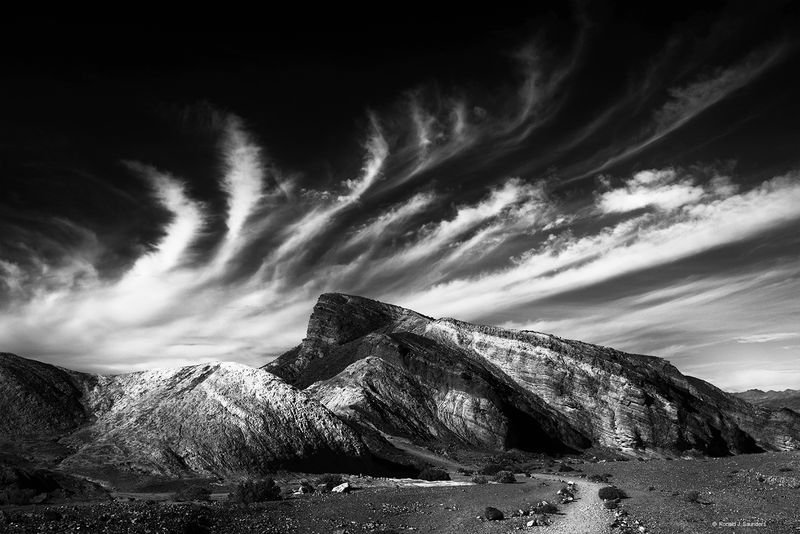 News | Ronald J. Saunders Photography